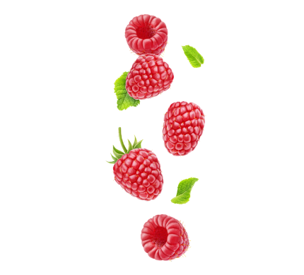 Raspberry juice concentrate - Austria Juice