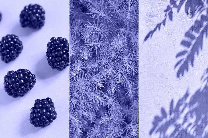 Pantone Color of the Year provides berry-filled moments
